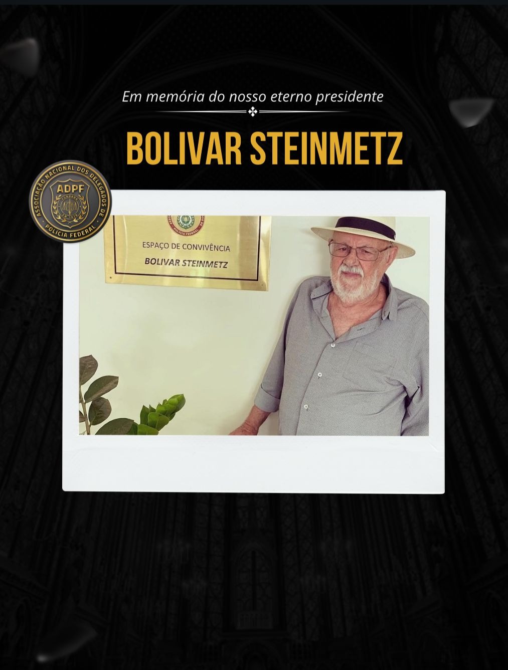 Bolivar Steinmetz. - ADPF : ADPF